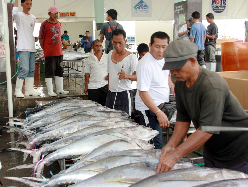 De markt voor vis – Visimporteurs